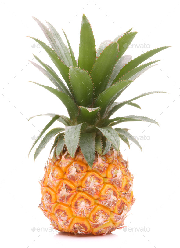 Pineapple tropical fruit or ananas Stock Photo by natika | PhotoDune