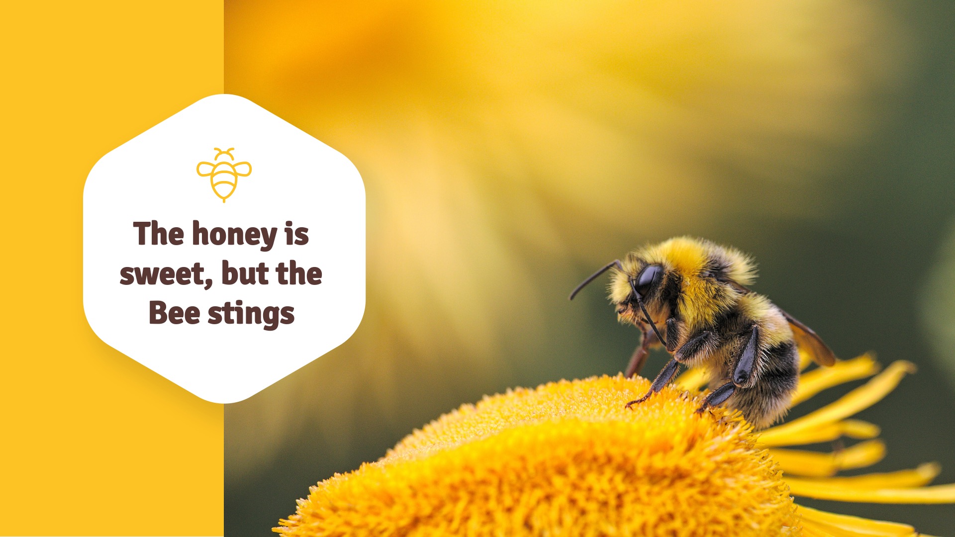 Sweetia - Beekeeping & Honey Production Powerpoint Template ...