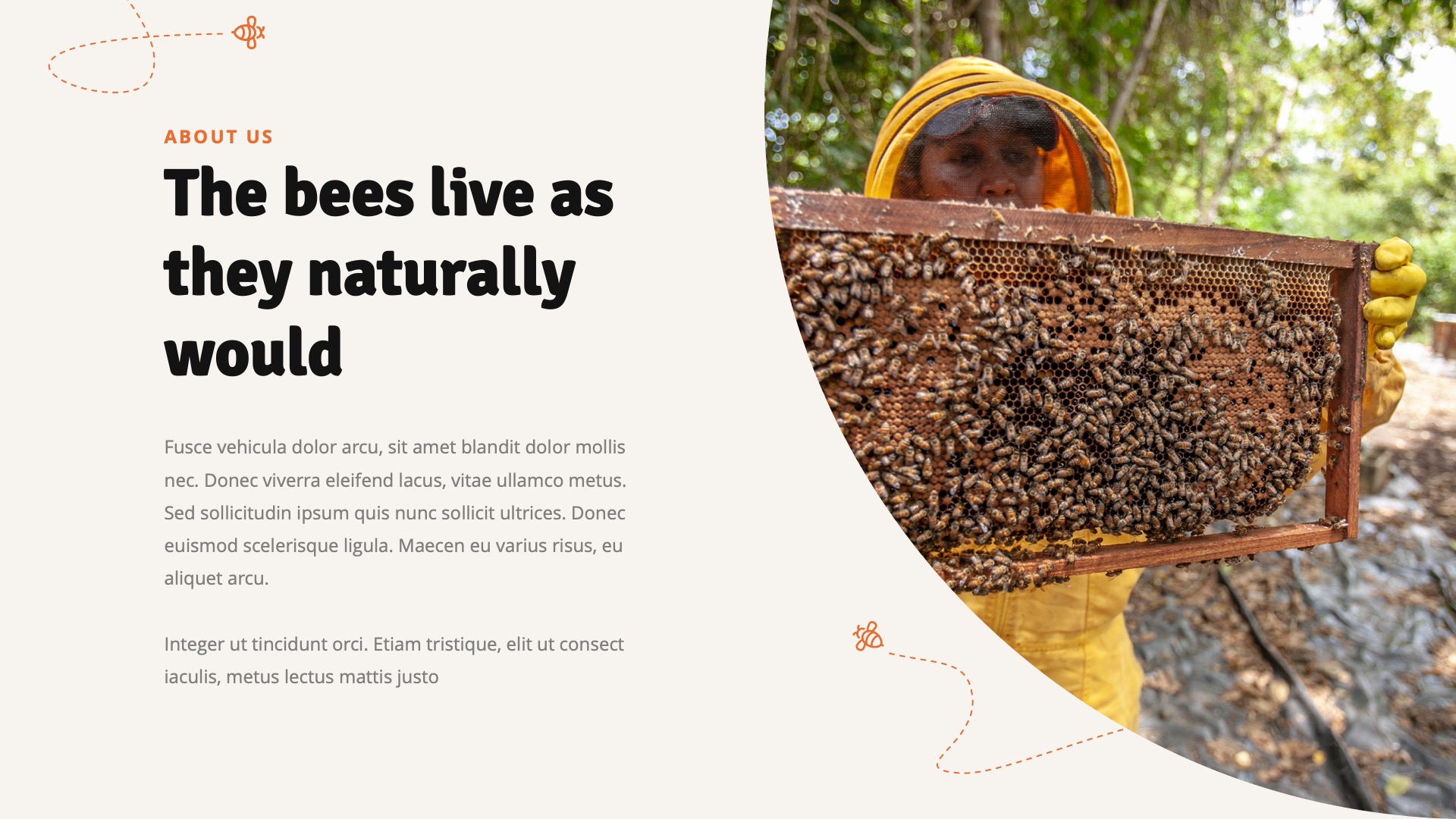 Sweetia - Beekeeping & Honey Production Powerpoint Template ...