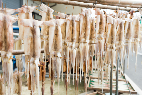 Drying squid hanging on the rack Stock Photo by leungchopan | PhotoDune