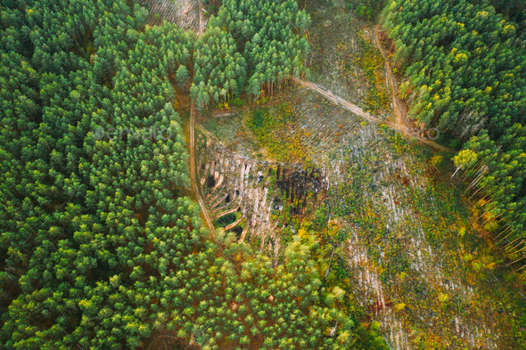 Aerial View Green Forest Deforestation Area Landscape. Top View Of ...