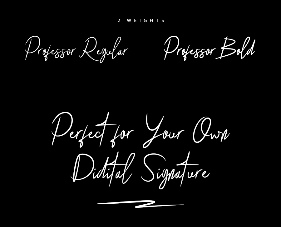 Professor_Signature Brush Font by dreamydesignbd | GraphicRiver