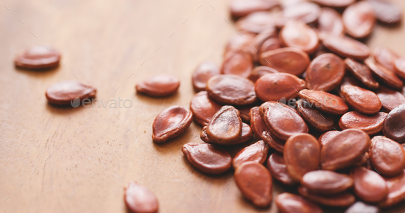 Dry Red watermelon seed Stock Photo by leungchopan | PhotoDune