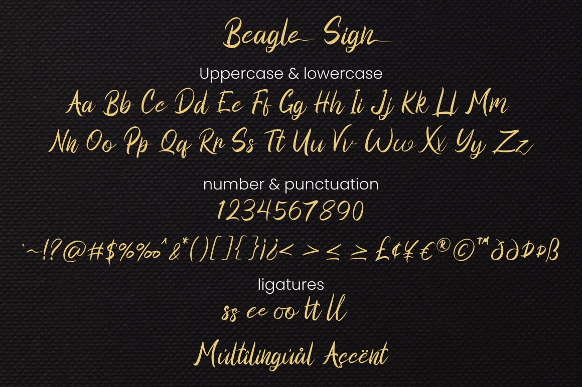 Beagle Sign - Signature Font, Fonts | GraphicRiver