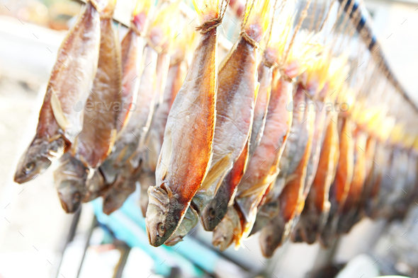 dry salt fish Stock Photo by leungchopan | PhotoDune