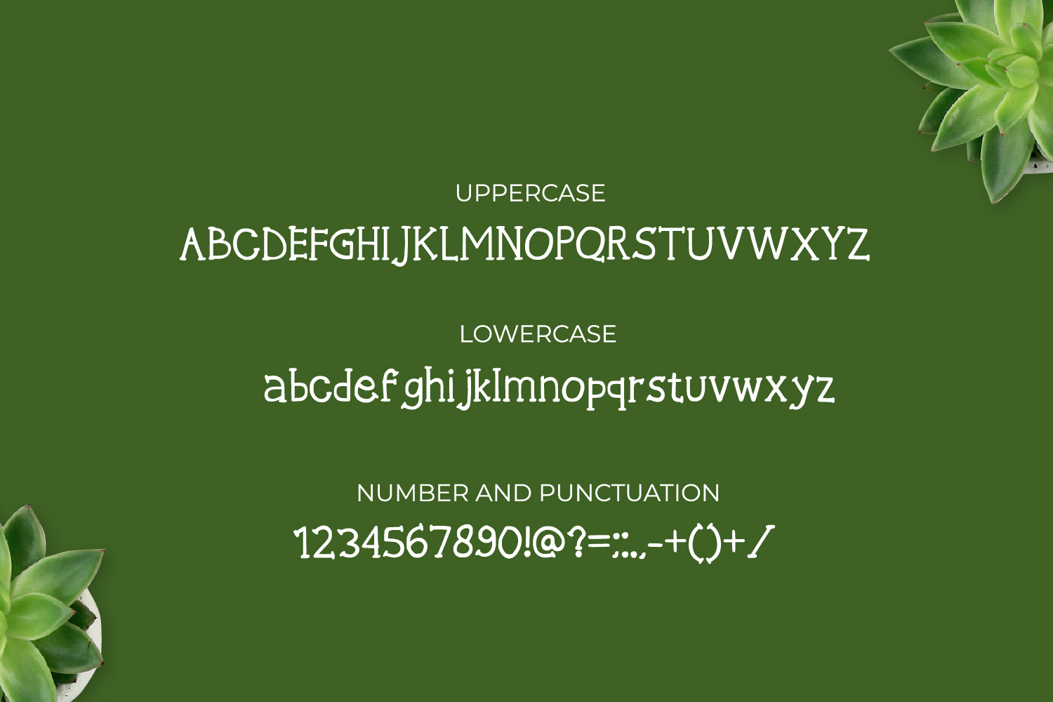 Colbuto, Fonts | GraphicRiver