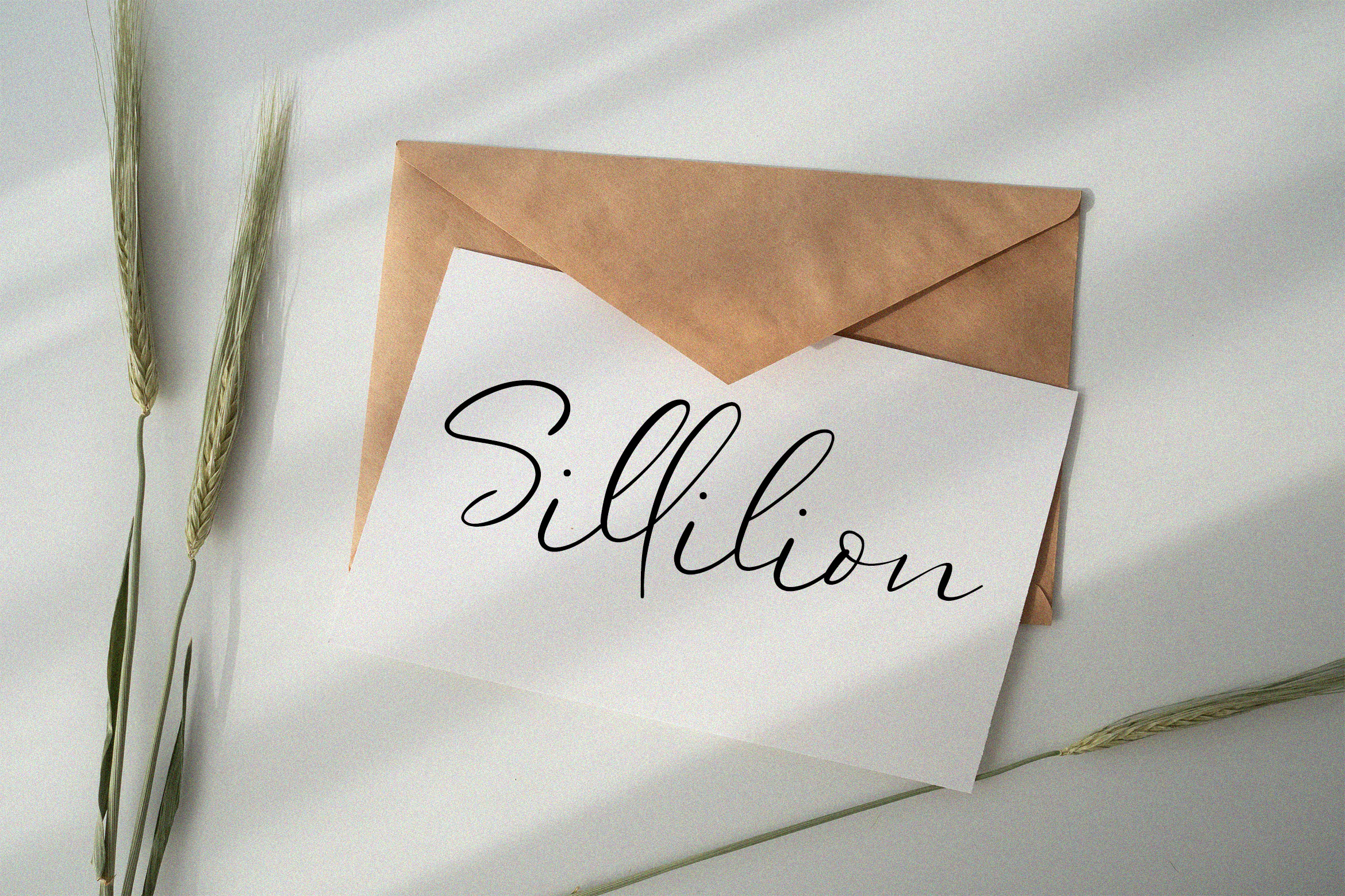 Edwards Script, Fonts | GraphicRiver