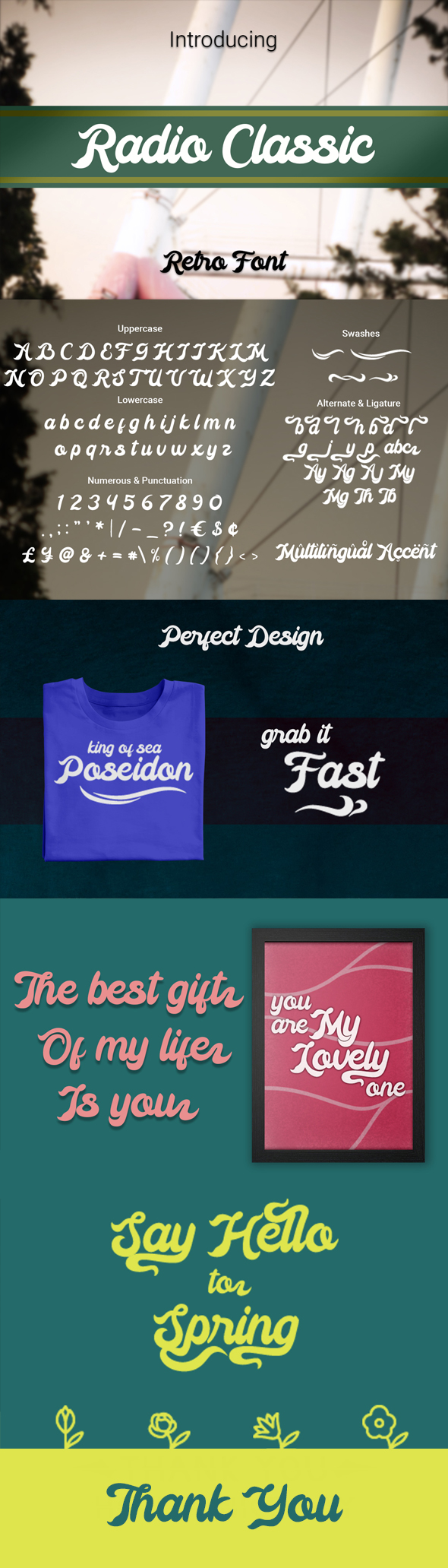 Radio Classic, Fonts | GraphicRiver