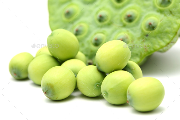 Fresh lotus seeds and pod Stock Photo by leungchopan | PhotoDune