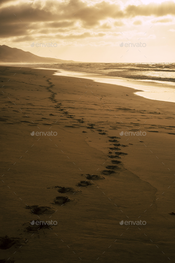 Awesome footprint and sun light beach side Stock Photo by simonapilolla