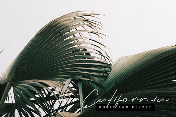 Rationale, Fonts | GraphicRiver