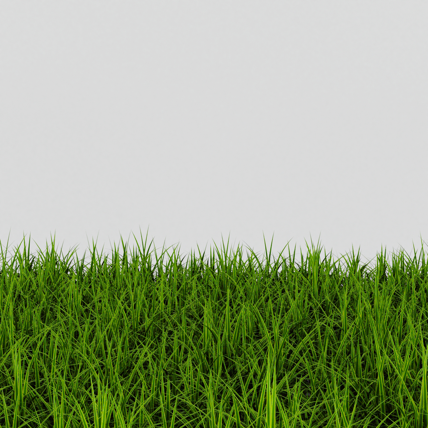 Grass by 3dmodeling | 3DOcean