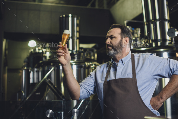 Male brewery worker examining small glass of beer Stock Photo by ...