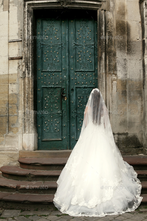 gorgeous bride back view of amazing dress with veil Stock Photo by ...