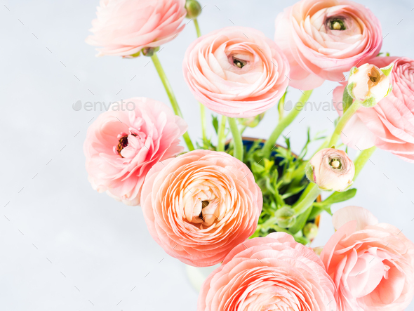 Beautiful pink ranunculus bouquet Stock Photo by tenkende | PhotoDune