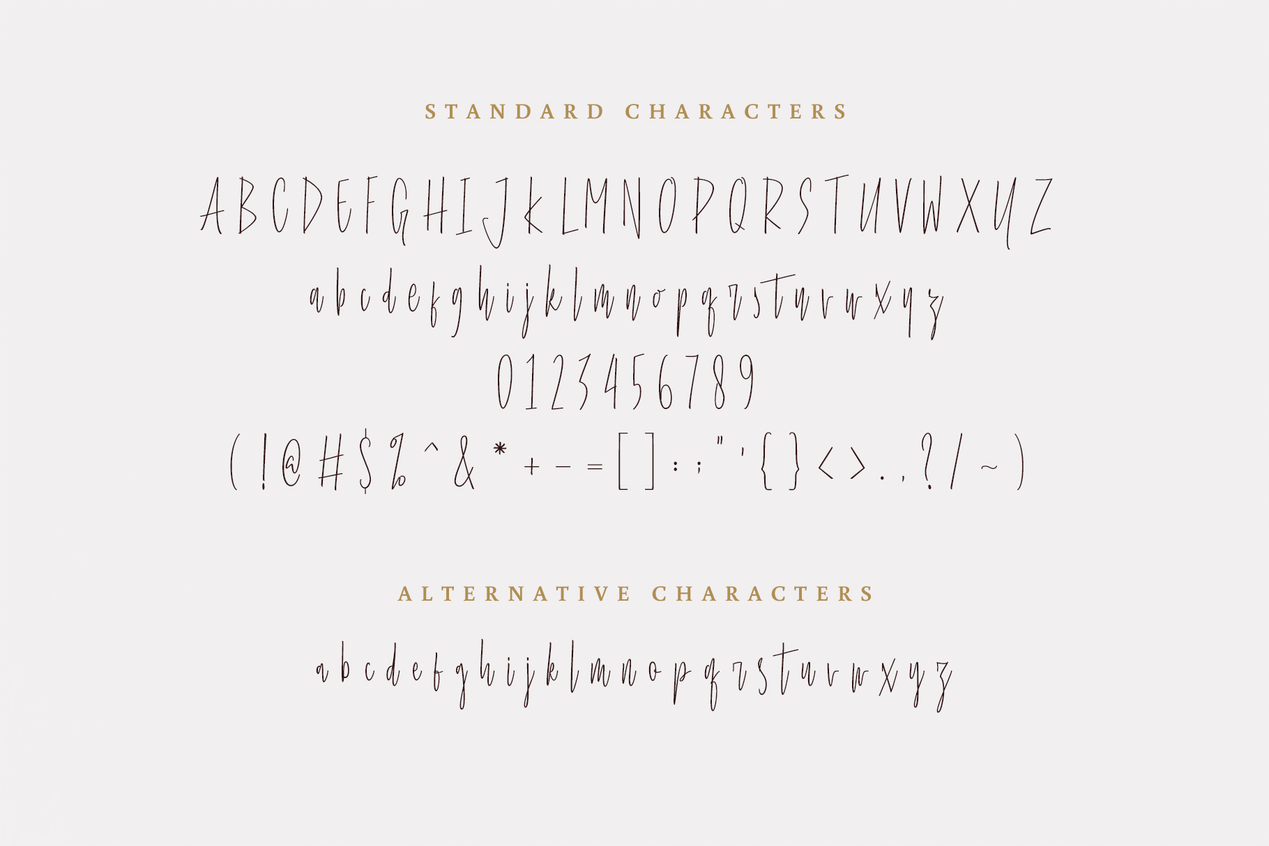 Stay Cool Script, Fonts | GraphicRiver