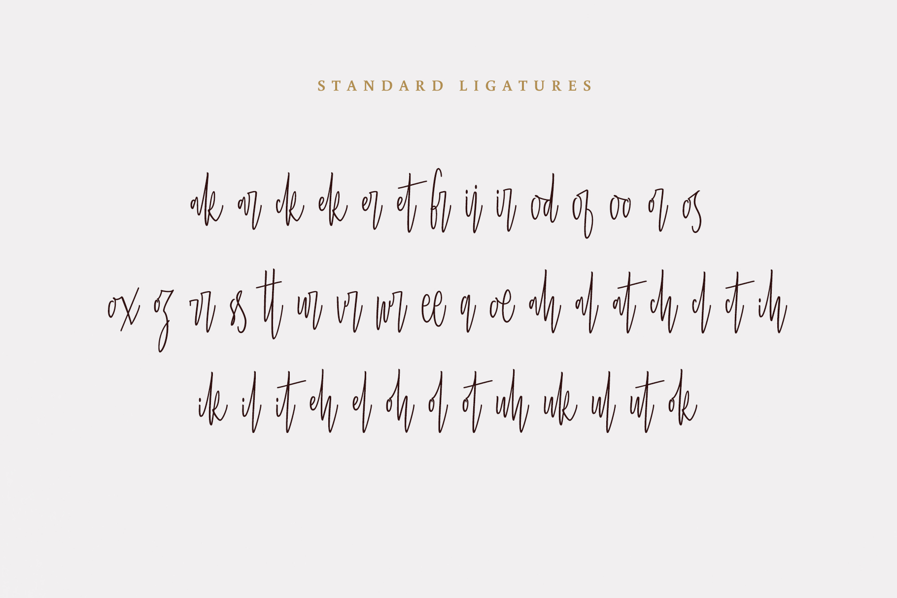 Stay Cool Script, Fonts | GraphicRiver