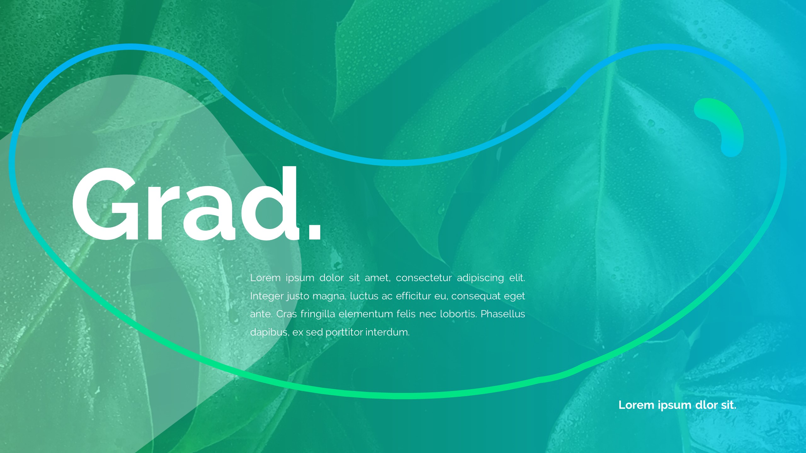 Grad Google Slide Presentation Template, Presentation Templates ...