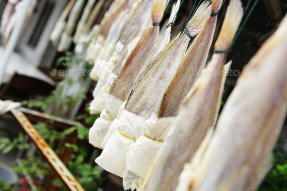 dried salt fish Stock Photo by leungchopan | PhotoDune