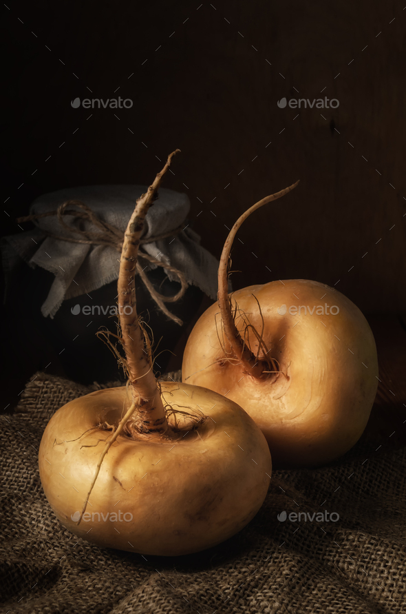 turnip fruits Stock Photo by begemot_dn | PhotoDune