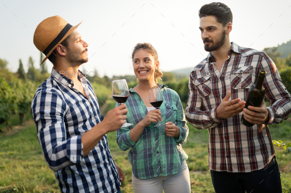 People sampling and tasting wines in vineyard Stock Photo by nd3000