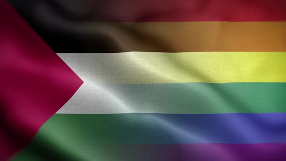 LGBT Palestine Flag Loop Background 4K, Motion Graphics | VideoHive