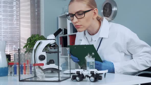 In Chemistry Laboratory Research Scientist Making Observations of Lab ...