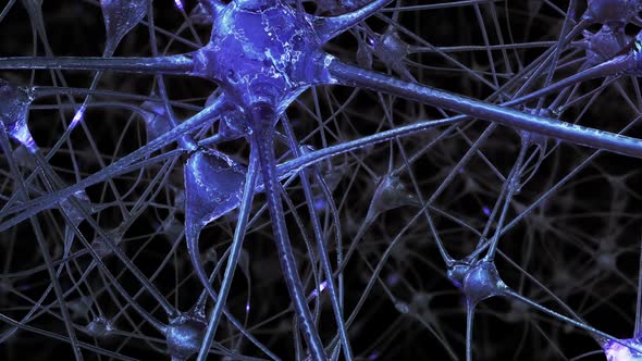 Neural Network Inside the Brain, Motion Graphics | VideoHive