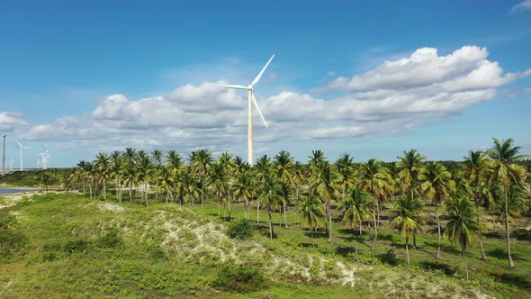Northeast Brazil. Aeolian turbine at Beach at Ceara state. Wind farm ...
