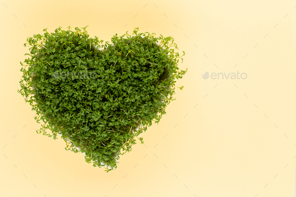 Creative layout made of sprout seed heart bowl. Flat lay, top view ...