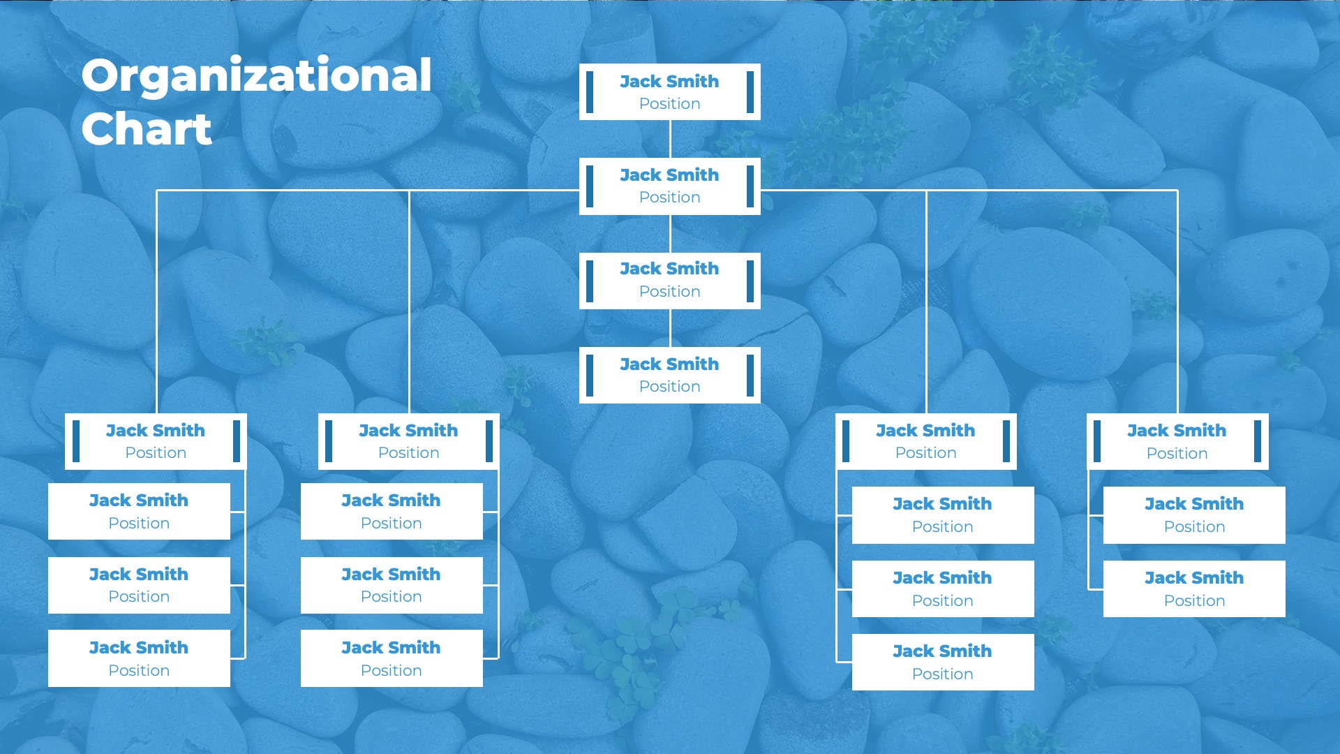 Organizational Chart and Hierarchy PowerPoint Template, Presentation ...