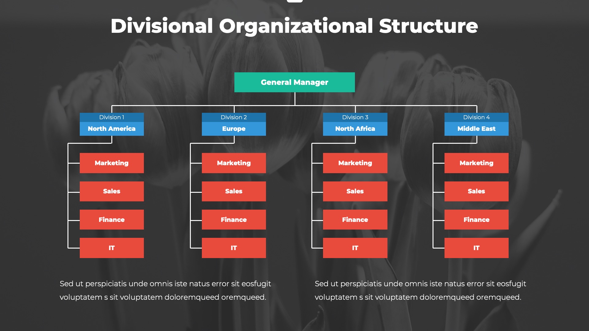 Organizational Chart and Hierarchy PowerPoint Template, Presentation ...