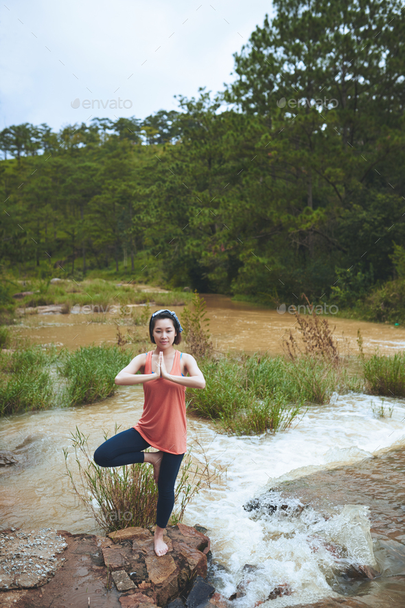 Equilibrium Stock Photo by DragonImages | PhotoDune