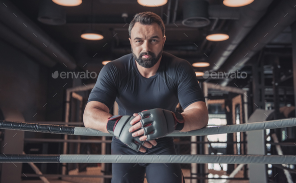 Boxer ready to fight Stock Photo by GeorgeRudy | PhotoDune