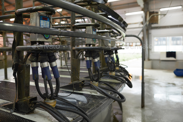 Milk Collector at Dairy Farm Stock Photo by seventyfourimages | PhotoDune