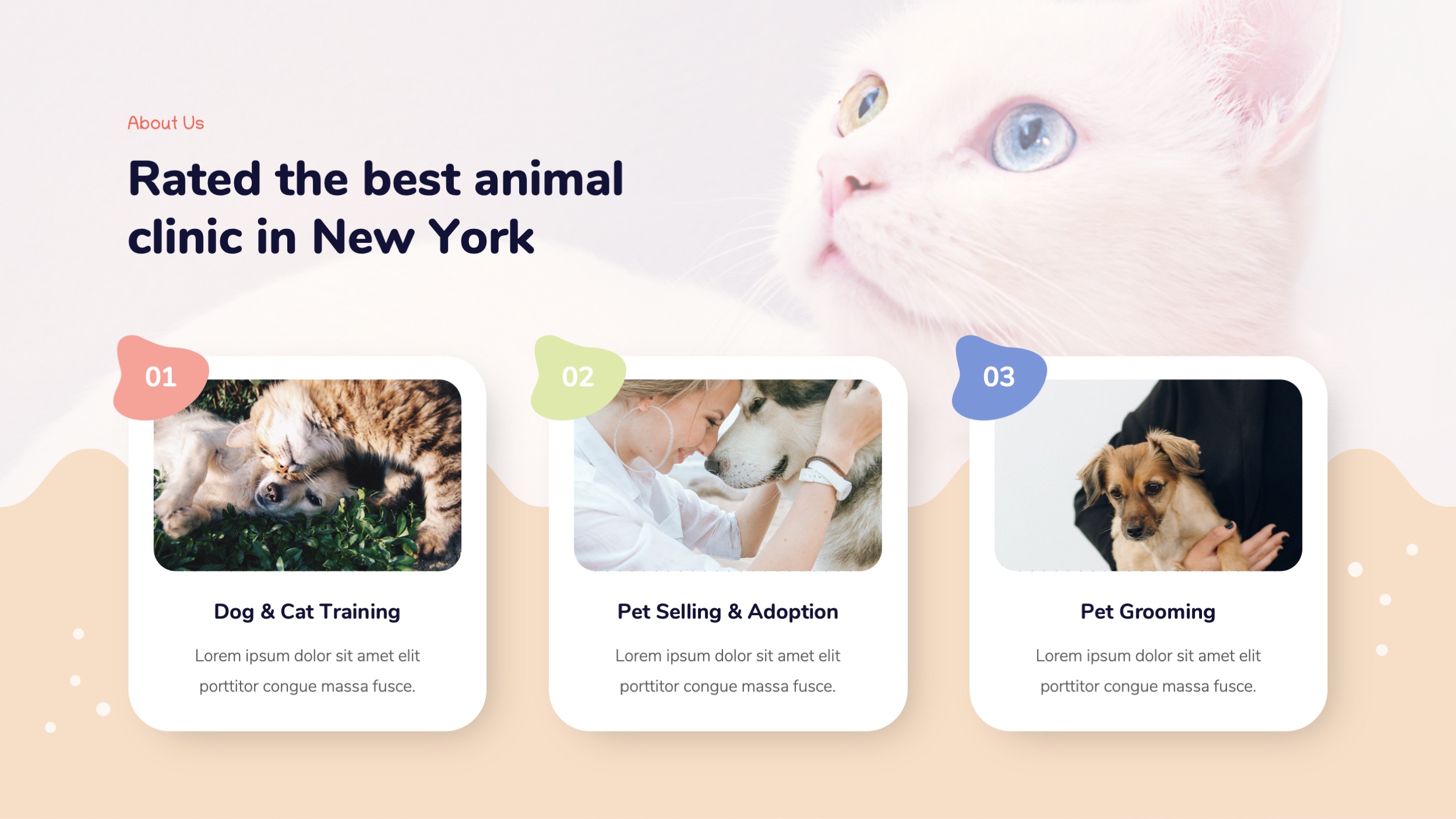 Pet Care & Veterinary Google Slides Template, Presentation Templates