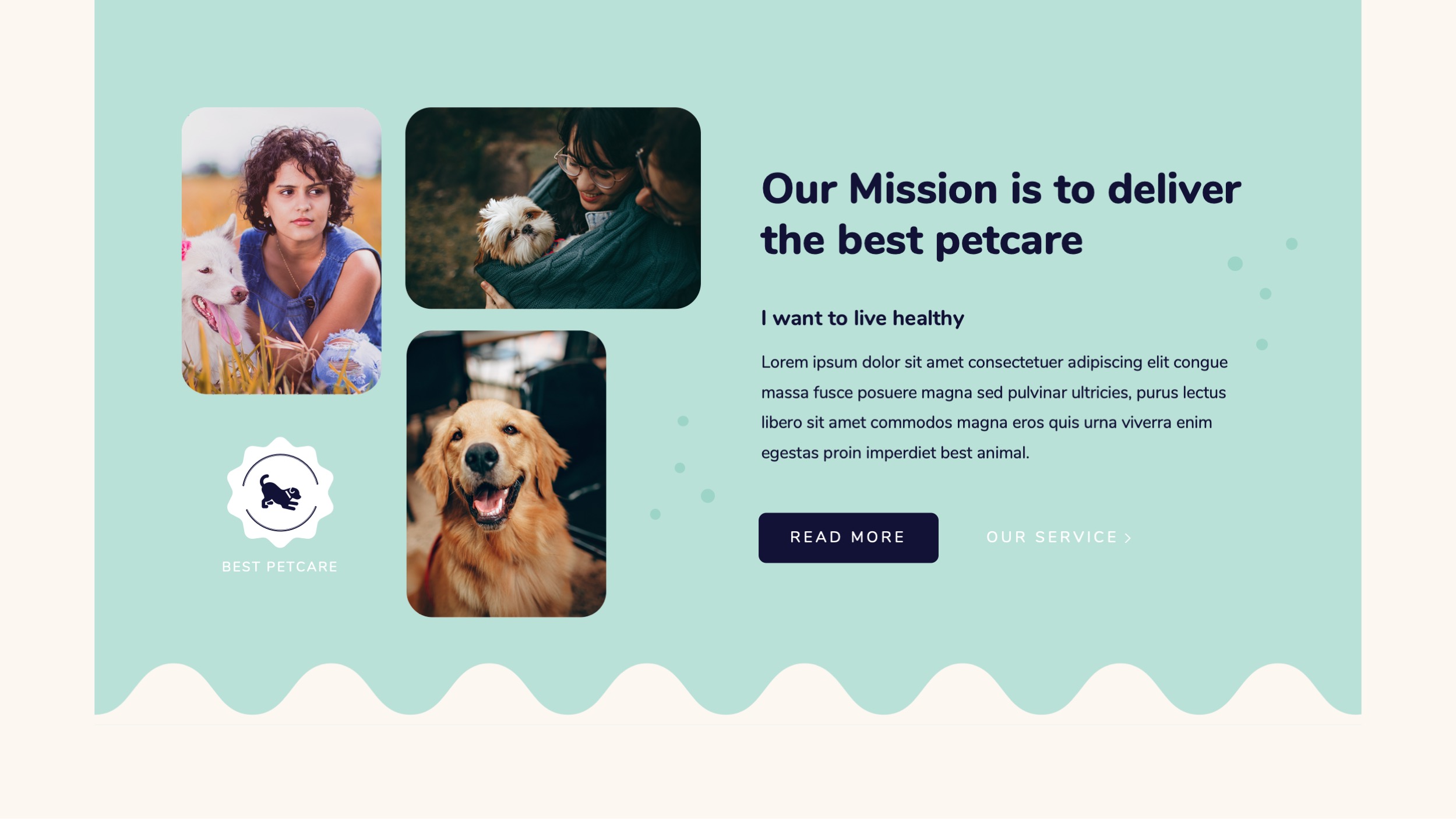 Pet Care & Veterinary Google Slides Template, Presentation Templates