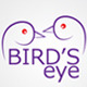 Birds Eye Logo, Logo Templates | GraphicRiver