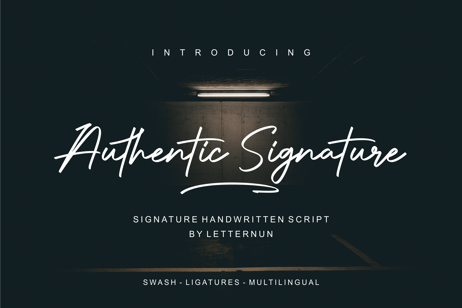 Authentic Signature, Fonts | GraphicRiver