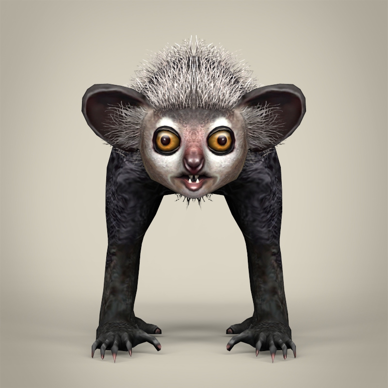 Low Poly Aye Aye by Gamingarts | 3DOcean