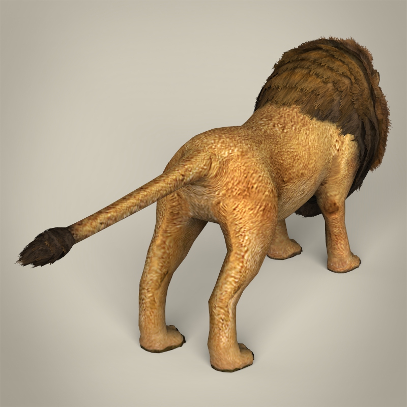 Low Poly Lion by Gamingarts | 3DOcean