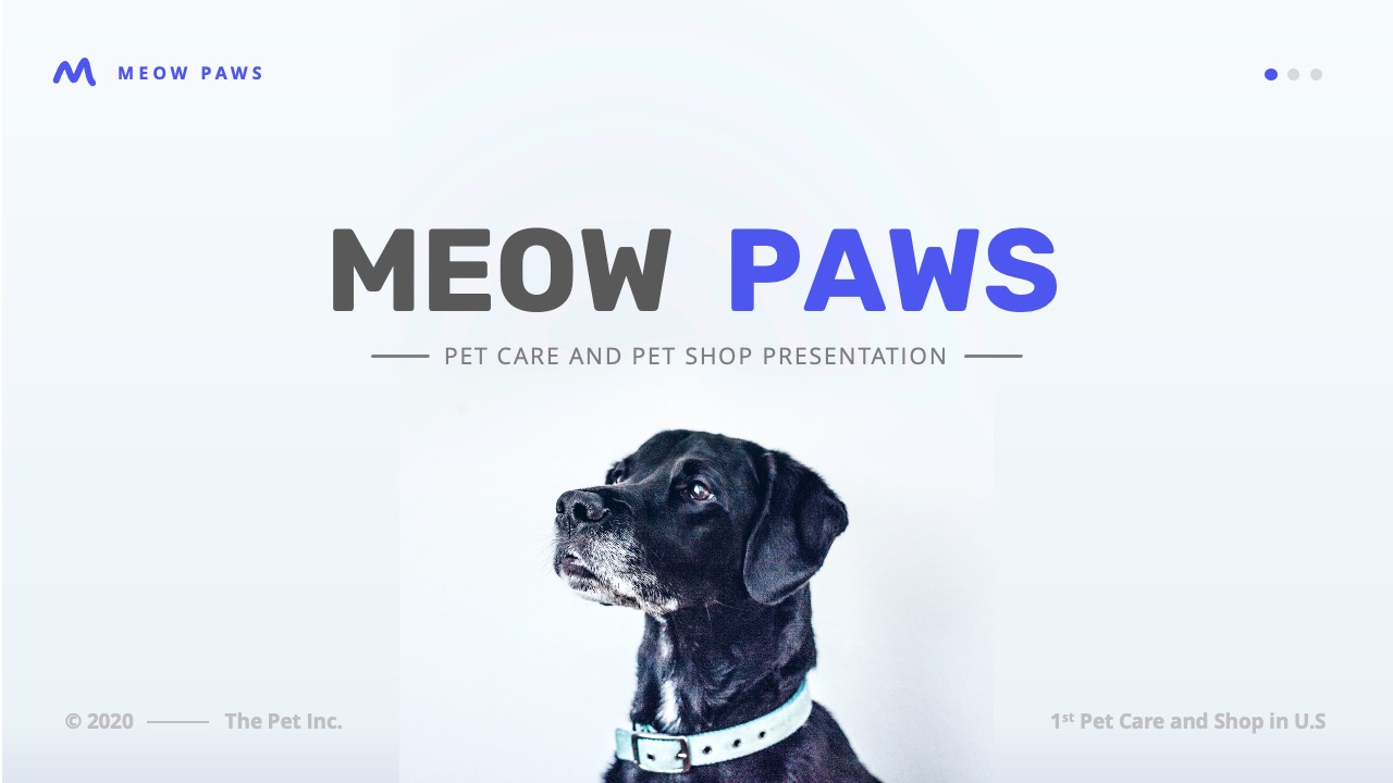 Meow Paws - Pet Care & Pet Shop PowerPoint Template, Presentation Templates
