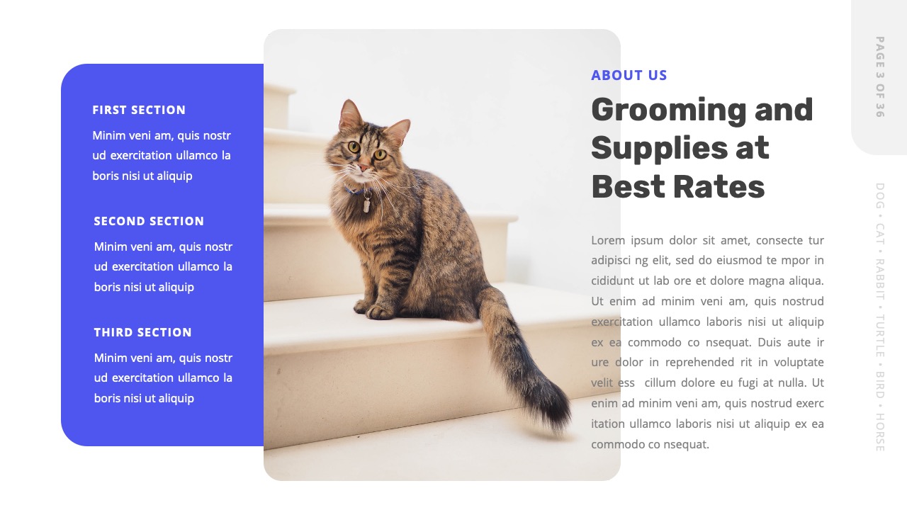 Meow Paws - Pet Care & Pet Shop PowerPoint Template, Presentation Templates