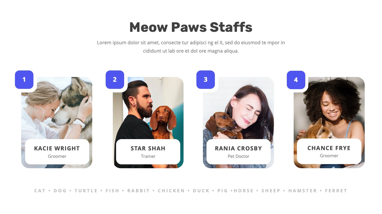 Meow Paws - Pet Care & Pet Shop PowerPoint Template, Presentation Templates