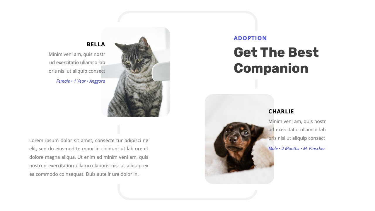 Meow Paws - Pet Care & Pet Shop PowerPoint Template, Presentation Templates