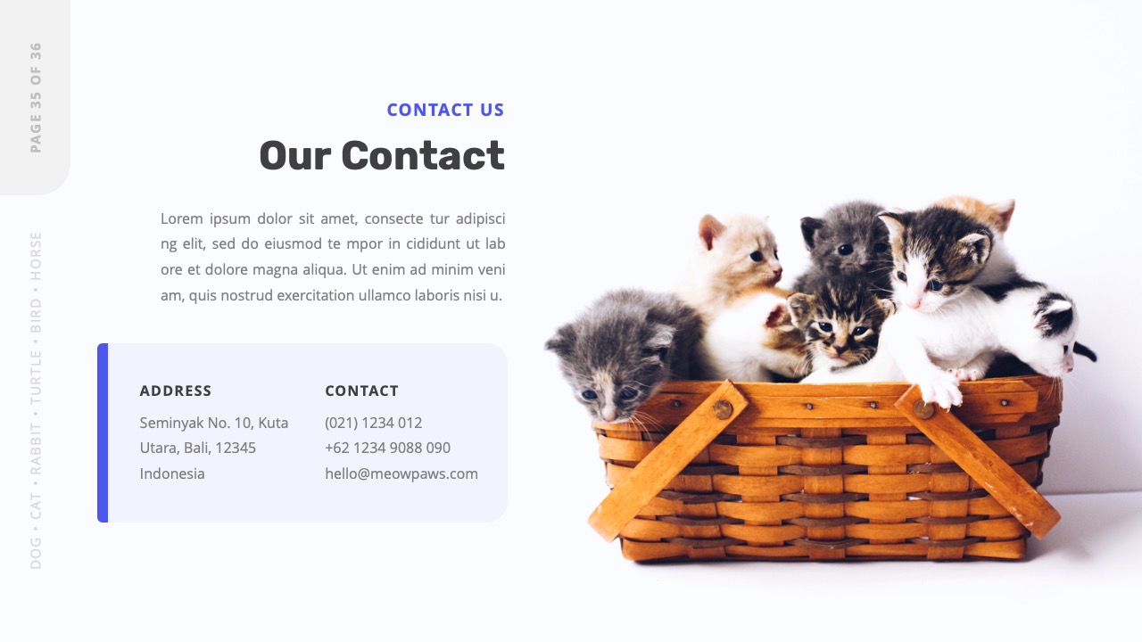 Meow Paws - Pet Care & Pet Shop PowerPoint Template, Presentation Templates