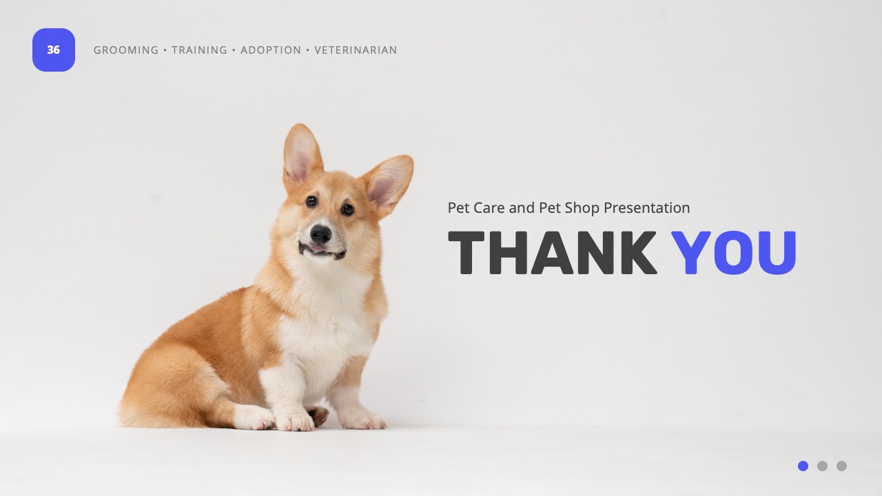 Meow Paws - Pet Care & Pet Shop PowerPoint Template, Presentation Templates