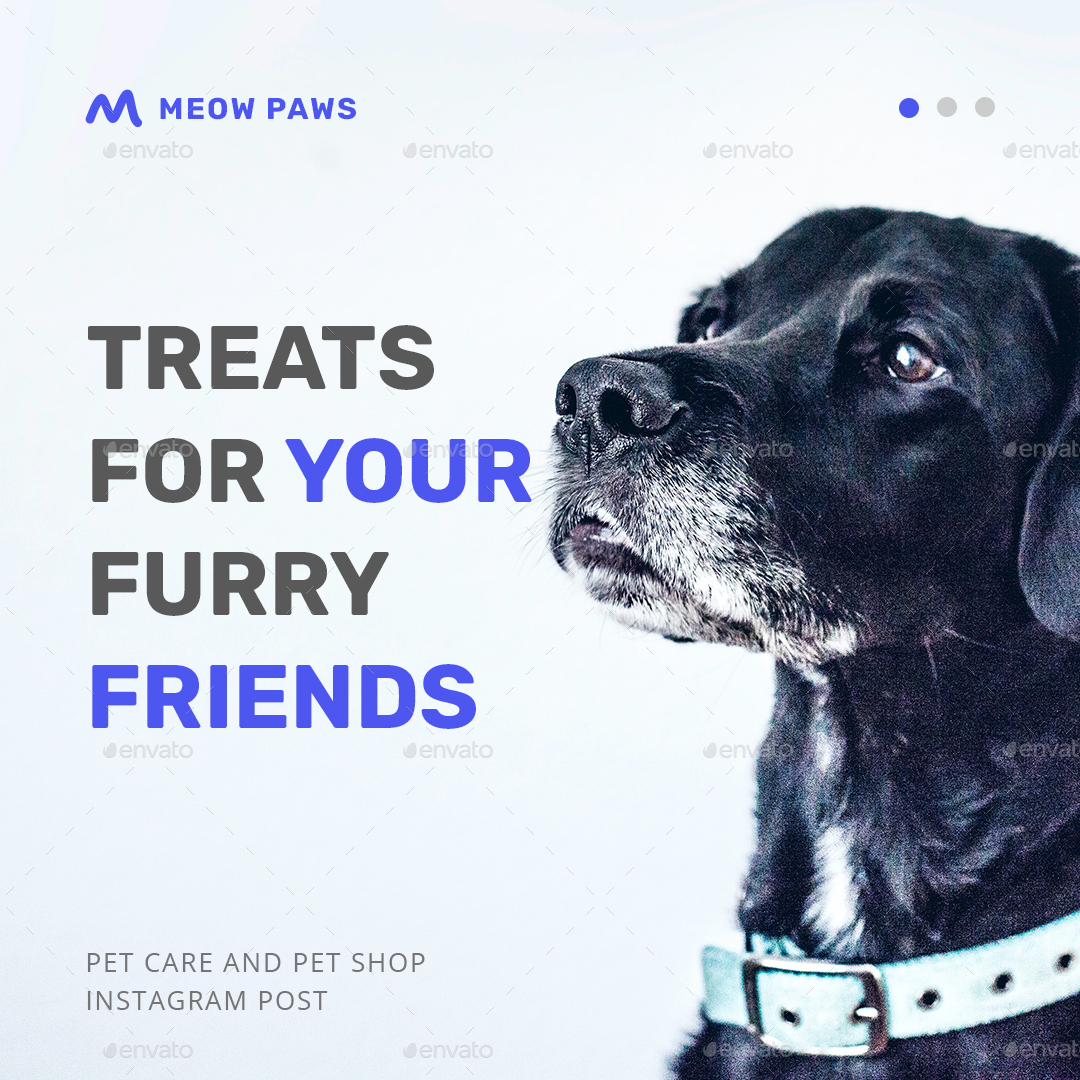 Meow Paws: Pet Care & Pet Shop Instagram Post Template, Web Elements