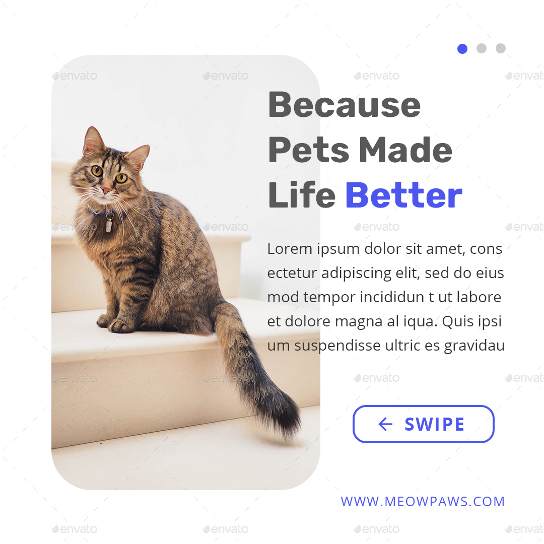 Meow Paws: Pet Care & Pet Shop Instagram Post Template, Web Elements