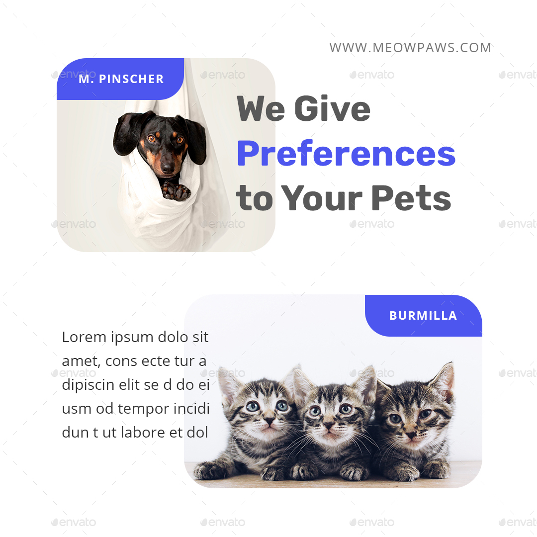 Meow Paws: Pet Care & Pet Shop Instagram Post Template, Web Elements